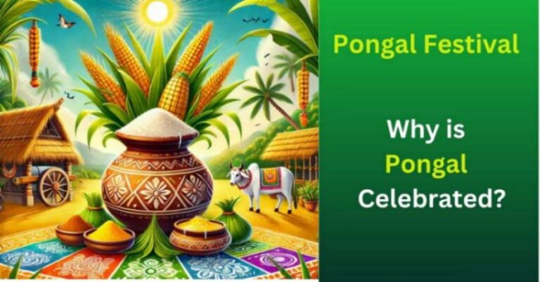 Pongal Festival 2025:Tamil Nadu's Grand Harvest Celebration - Today's ...