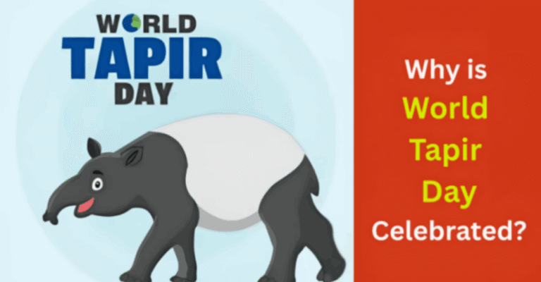 World Tapir Day 2025: Celebrating Nature’s Gentle Gardeners - Today's ...