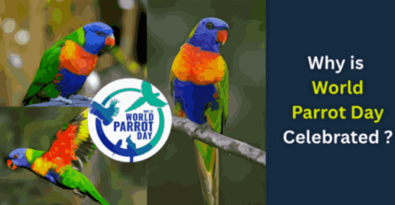 🌍 World Parrot Day 2025: 10 Powerful Ways We Can Save These Colorful ...