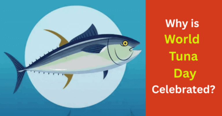 World Tuna Day 2025: Sustaining the Sea’s Silver Champion - Today's ...