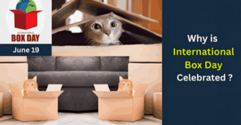🗓️ International Box Day 2025: The Hidden Cost of Packaging: 5 Shocking ...