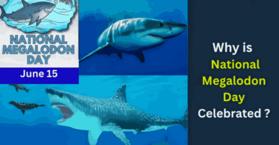 📢 National Megalodon Day 2025: 10 Jaw-Dropping Facts Celebrating the ...